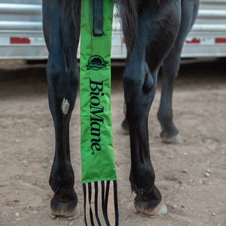 BioMane Tailbag - Protect Your Horse's Tail – BioMane.com