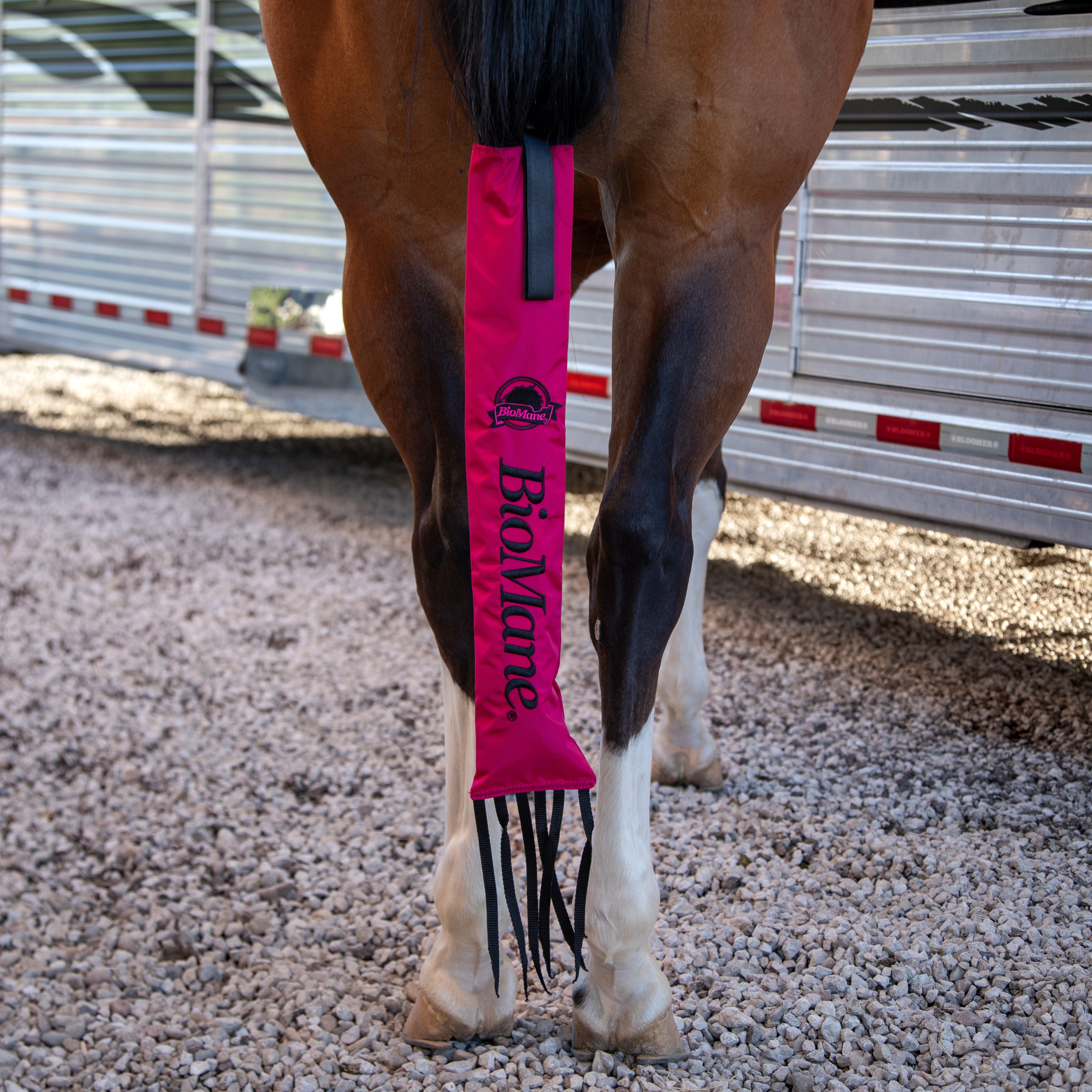 BioMane Tailbag - Protect Your Horse's Tail – BioMane.com