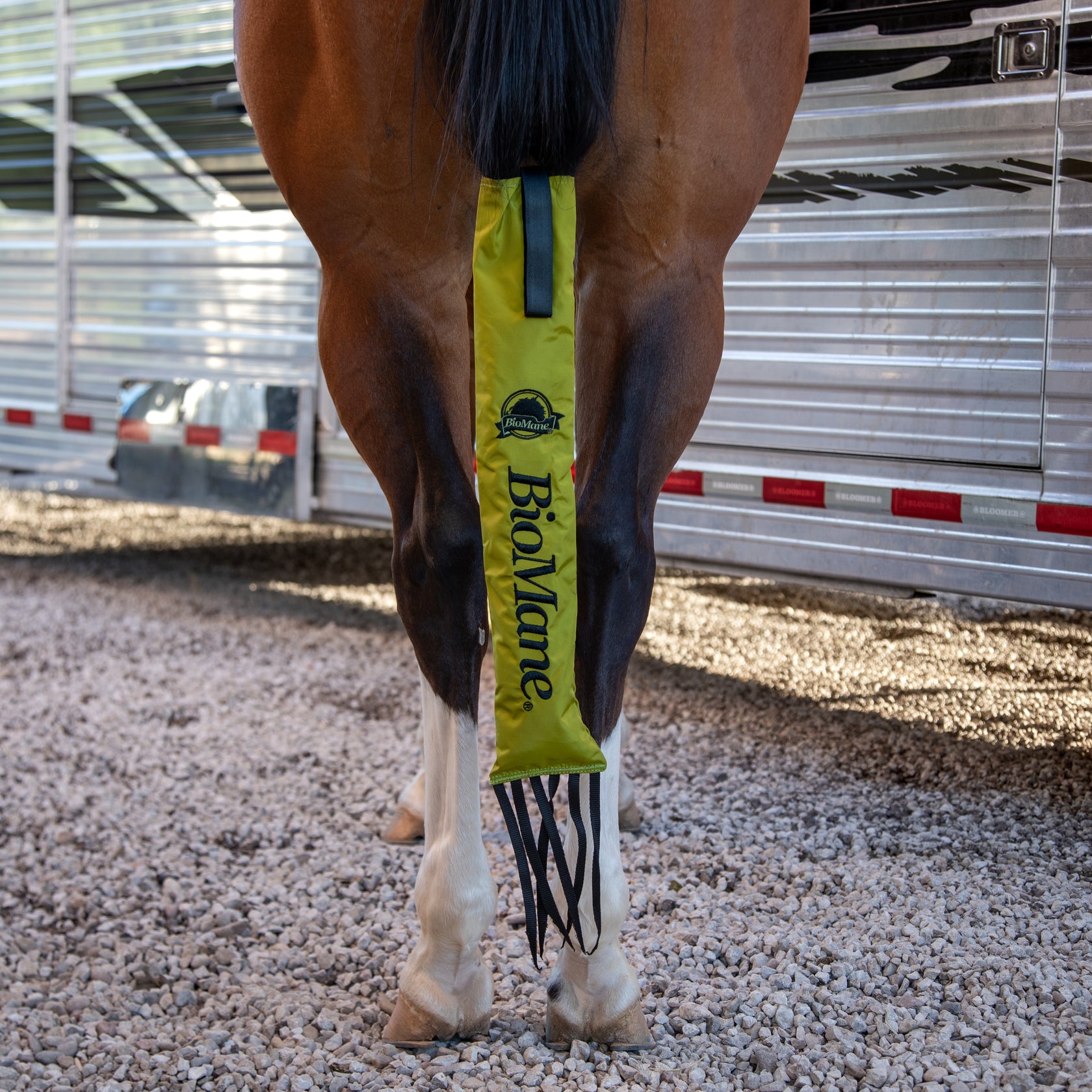 BioMane Tailbag - Protect Your Horse's Tail – BioMane.com