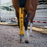 BioMane Tailbag - Protect Your Horse's Tail – BioMane.com