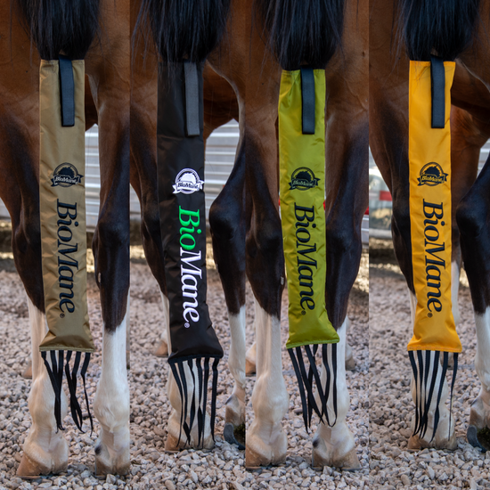 BioMane Tailbag - Protect Your Horse's Tail – BioMane.com