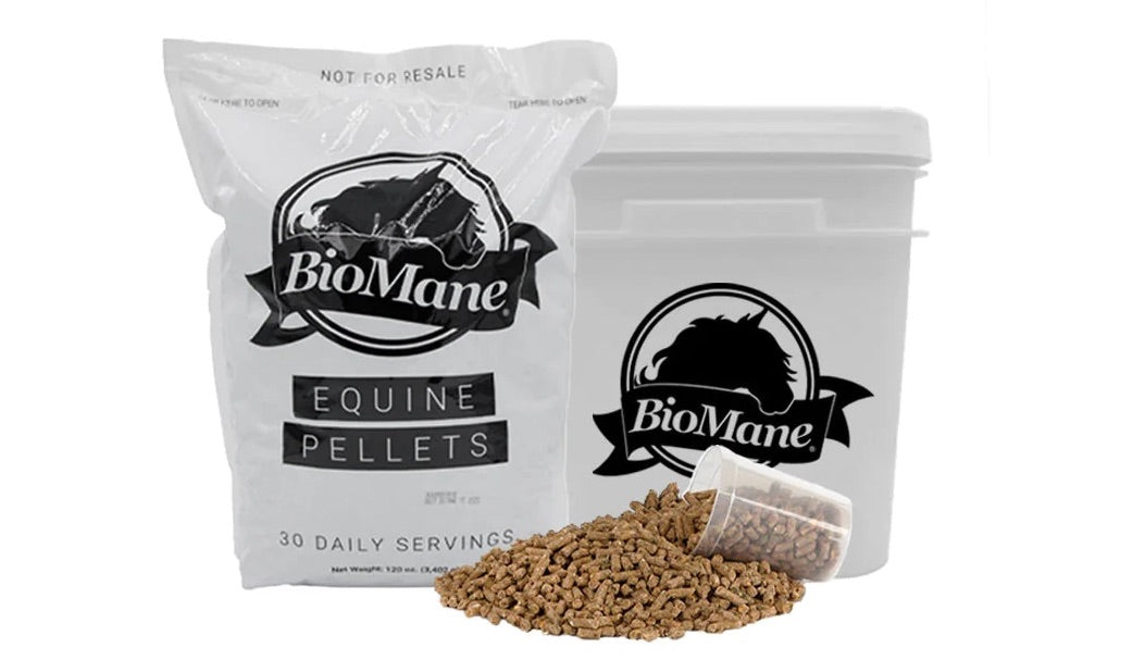 BioMane Products – Equine Nutrition for Mane and Tail Growth – BioMane.com