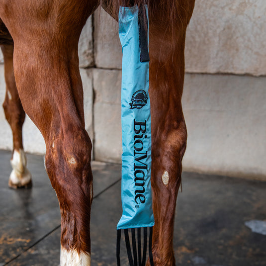 BioMane Products – Equine Nutrition for Mane and Tail Growth – BioMane.com