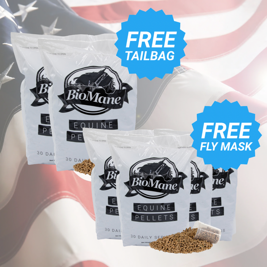 BioMane Products – Equine Nutrition for Mane and Tail Growth – BioMane.com