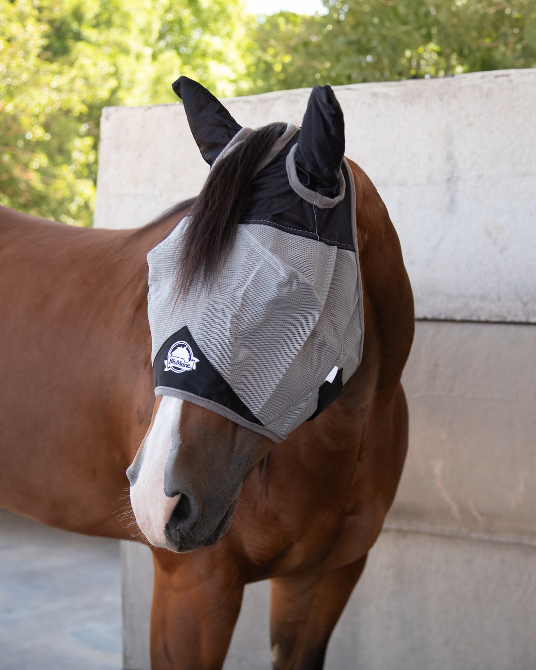 BioMane Products – Equine Nutrition for Mane and Tail Growth – BioMane.com