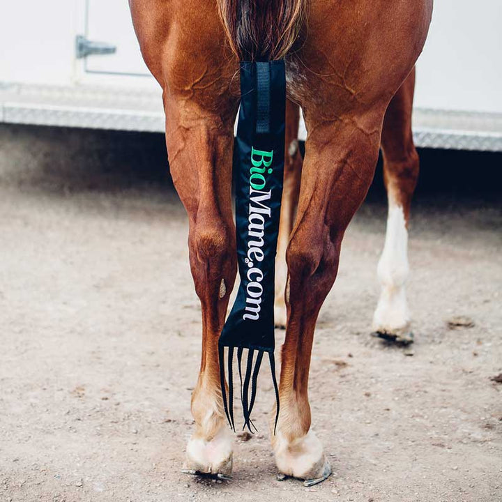 BioMane Products – Equine Nutrition for Mane and Tail Growth – BioMane.com